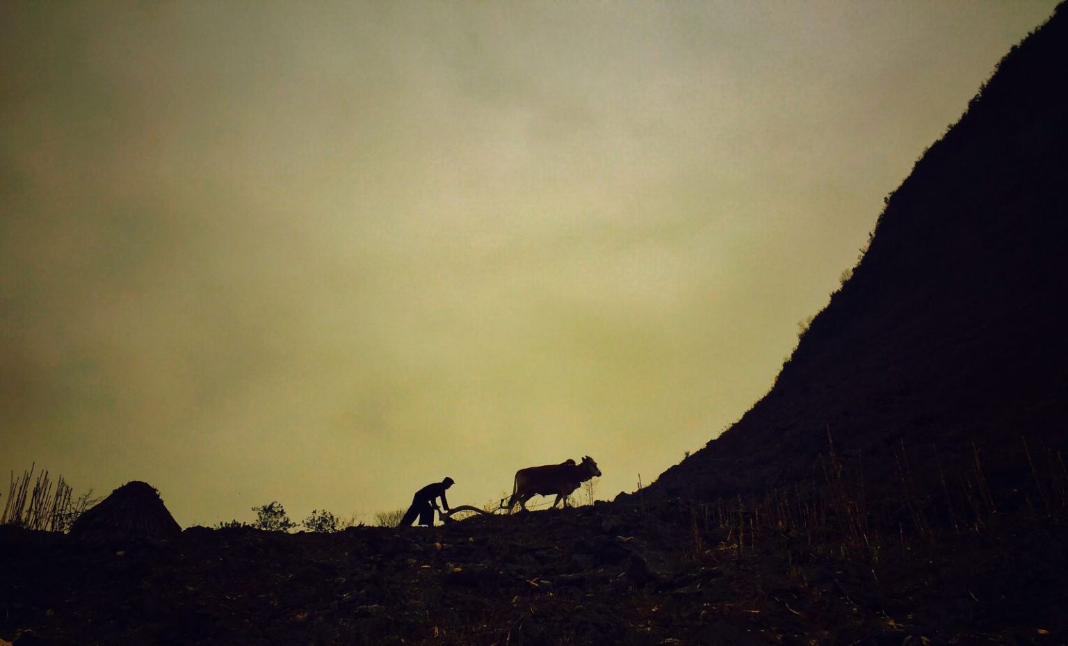 H’mong People in Ha Giang: Traditions, Life & 2 Travel Tips